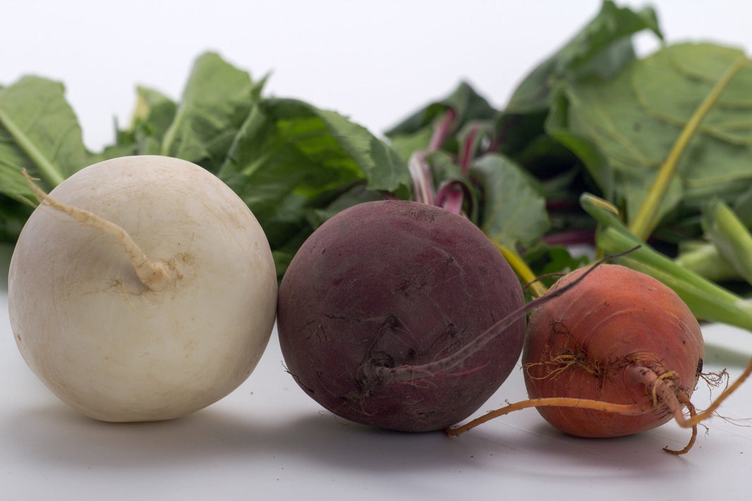 Vegetables – Page 2 – Seeds N Beyond