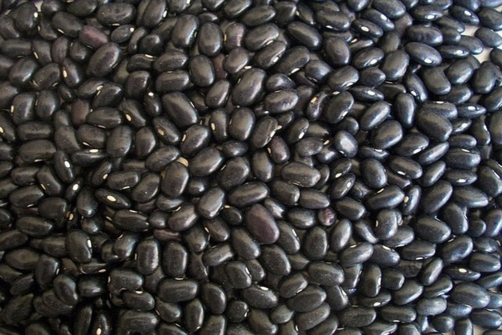 Black Turtle Beans – Perfect for Sprouting or Cooking | BULK – Seeds N ...