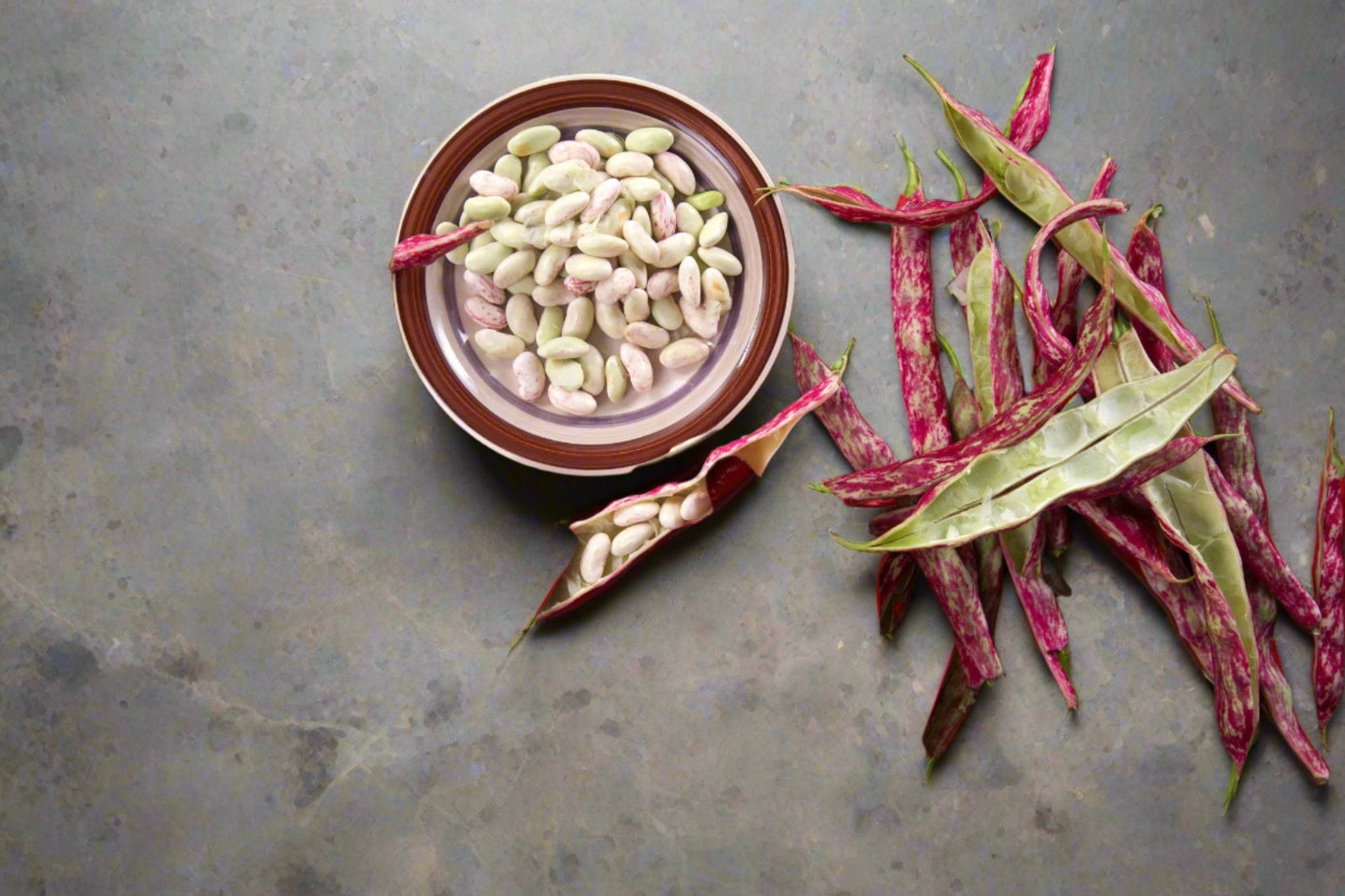 Borlotti Bean - Red Rooster Seeds – Seeds N Beyond
