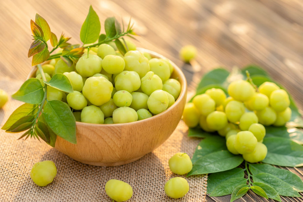 Indian Gooseberry (Amla) Tree Seeds - Rare & Medicinal | Seeds N Beyond