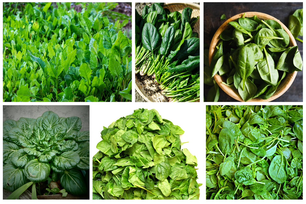 Spinach Heirloom Mix – Seeds N Beyond